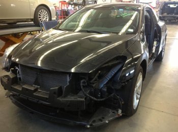 Steer Clear Of Deer - Car Craft Auto Body Shops